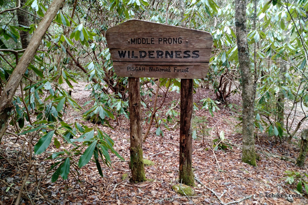 Visit Bubbling Spring Branch Falls in North Carolina