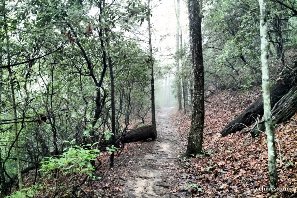 Visit Daniel Ridge Loop & Falls in North Carolina