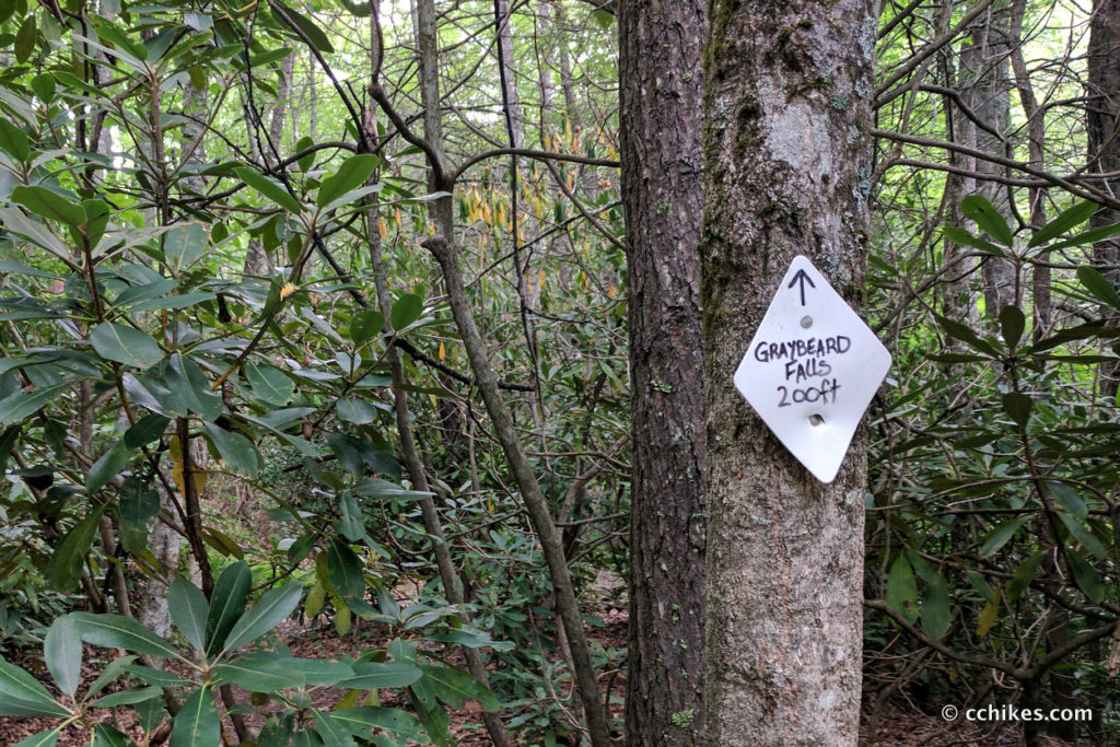 Visit Graybeard Trail & Falls near Montreat, North Carolina