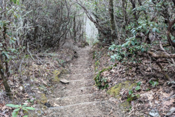 Hike the 25-mile Standing Indian Mountain Loop near Franklin, NC