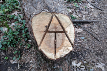 Hike the 25-mile Standing Indian Mountain Loop near Franklin, NC