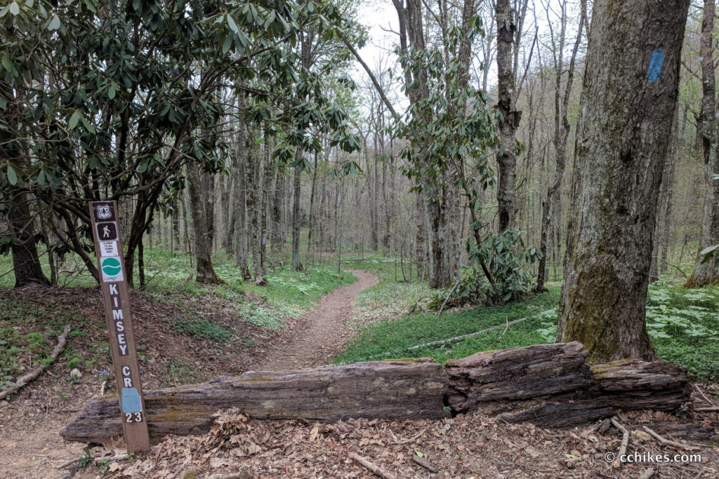 Hike the 25-mile Standing Indian Mountain Loop near Franklin, NC