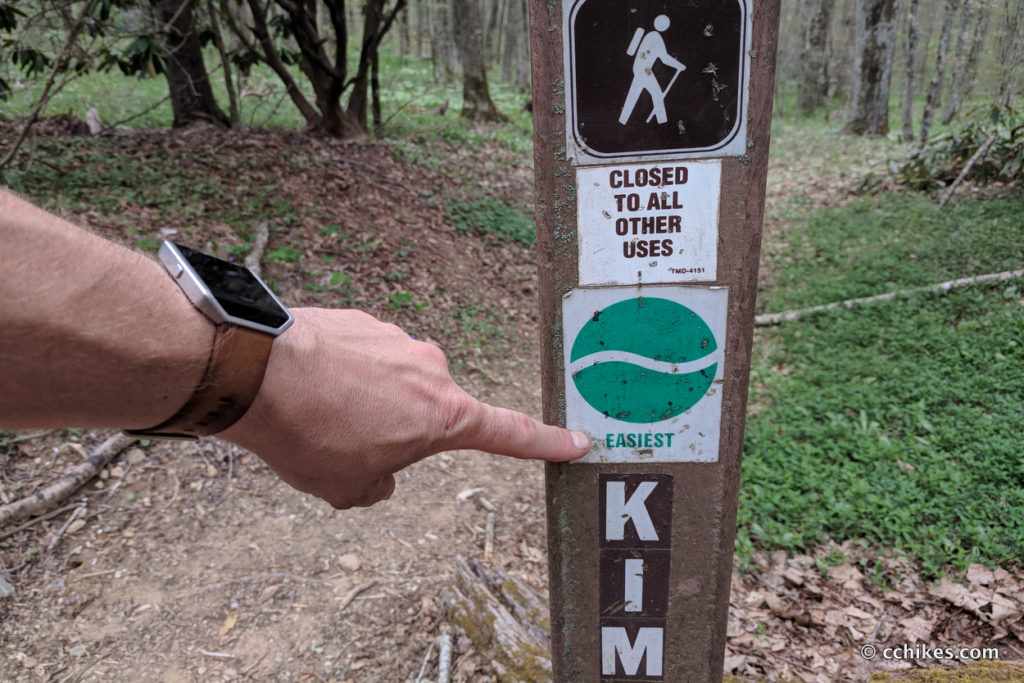 Hike the 25-mile Standing Indian Mountain Loop near Franklin, NC