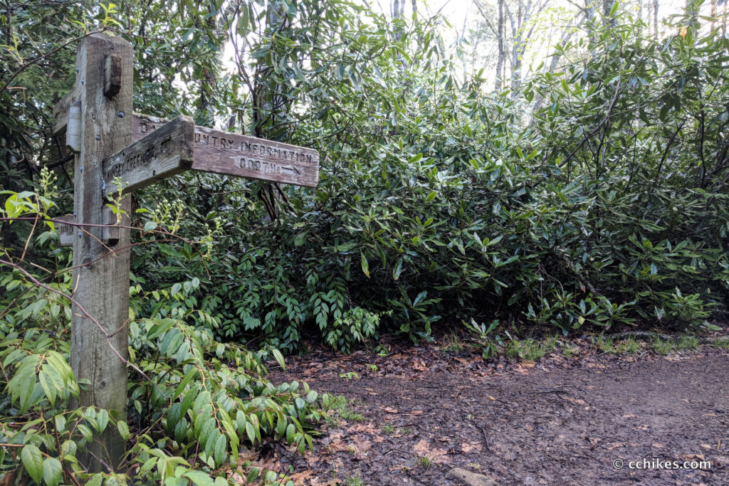 Hike the 25-mile Standing Indian Mountain Loop near Franklin, NC