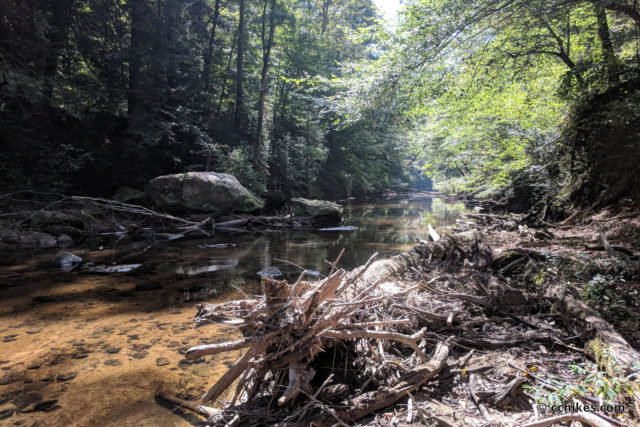 Backpack the Sipsey Wilderness Loop in northwest Alabama